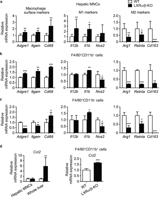 Liver X receptors regulate hepatic F4/80 + CD11b + Kupffer cells ...