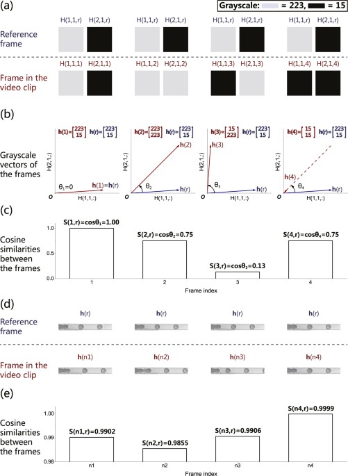 A Cosine Similarity Algorithm Method for Fast and Accurate Monitoring of Dynamic Droplet ...