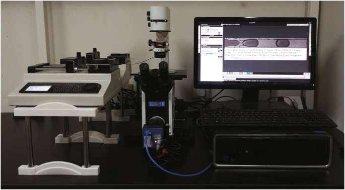 A Cosine Similarity Algorithm Method for Fast and Accurate Monitoring of Dynamic Droplet ...