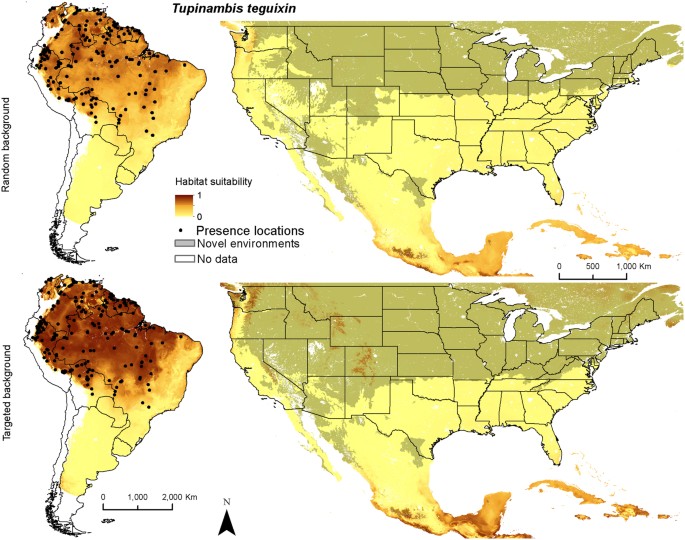 Modeling the distributions of tegu lizards in native and potential ...