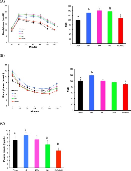 Isoquercetin and inulin synergistically modulate the gut microbiome to ...