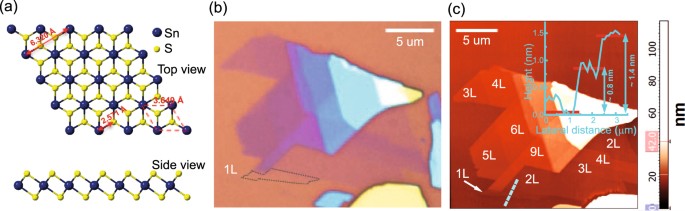 Low-Frequency Raman Spectroscopy of Few-Layer 2H-SnS2 | Scientific Reports