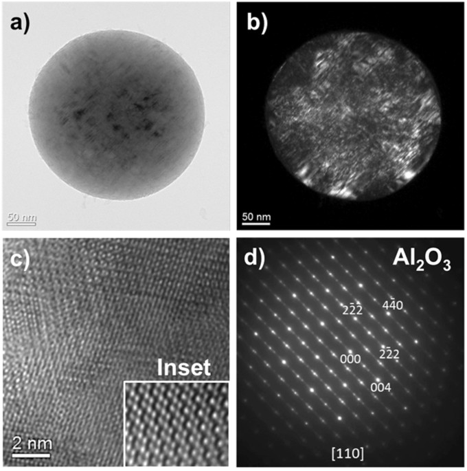 Gas Phase Chemical Evolution of Uranium, Aluminum, and Iron Oxides ...