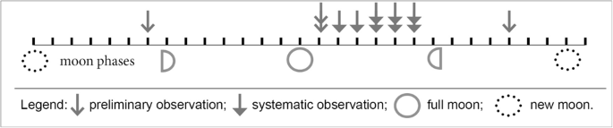 Mass spawning by the date mussel Lithophaga lithophaga | Scientific Reports