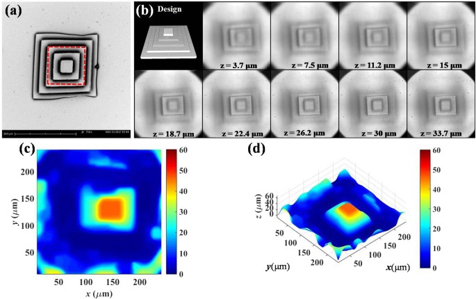 3D surface morphology imaging of opaque microstructures via light-field ...