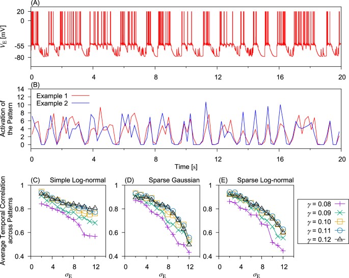 Transient and Persistent UP States during Slow-wave Oscillation and ...