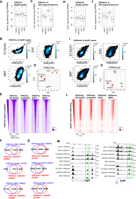 Culture of haploid blastocysts in FGF4 favors the derivation of ...