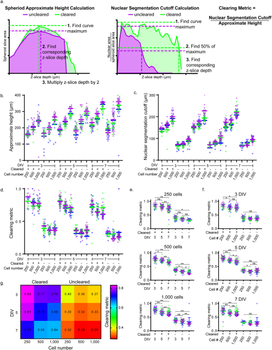 A high-throughput imaging and nuclear segmentation analysis protocol ...