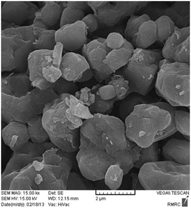 Spotlight on the New Natural Surfactant Flooding in Carbonate Rock ...
