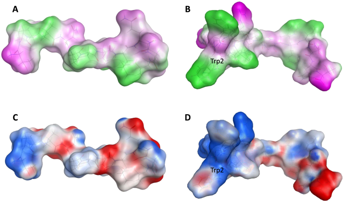 Novel 3D Structure Based Model for Activity Prediction and Design of ...