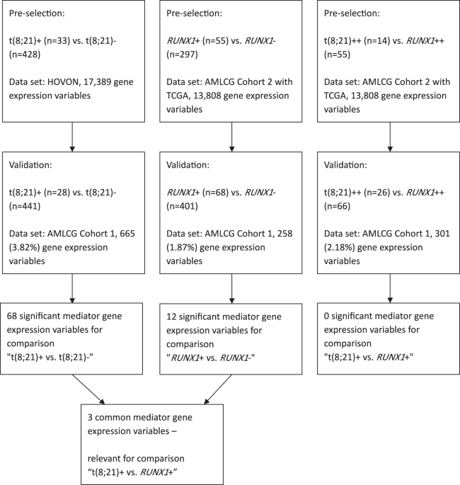 Mediation analysis reveals common mechanisms of RUNX1 point mutations and RUNX1/RUNX1T1 fusions ...