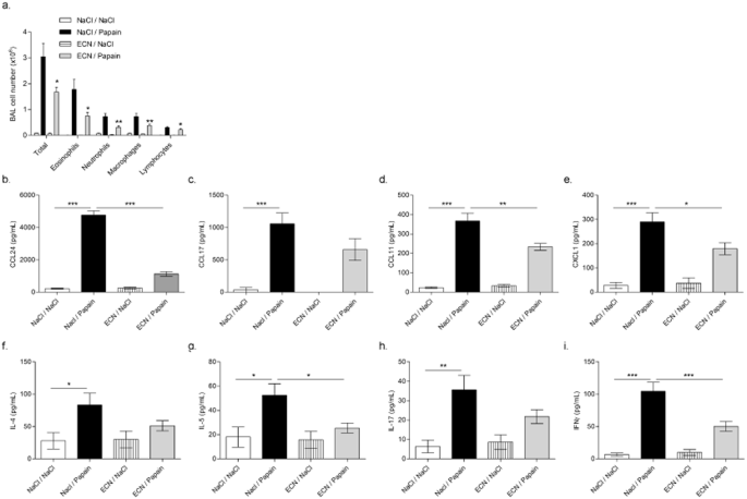 The probiotic strain Escherichia coli Nissle 1917 prevents papain ...
