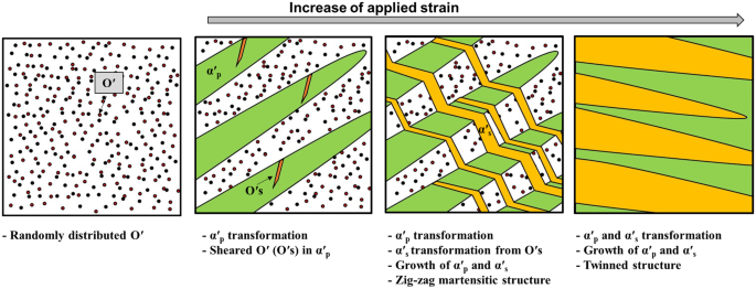 The Role of Nano-domains in {1–011} Twinned Martensite in Metastable ...