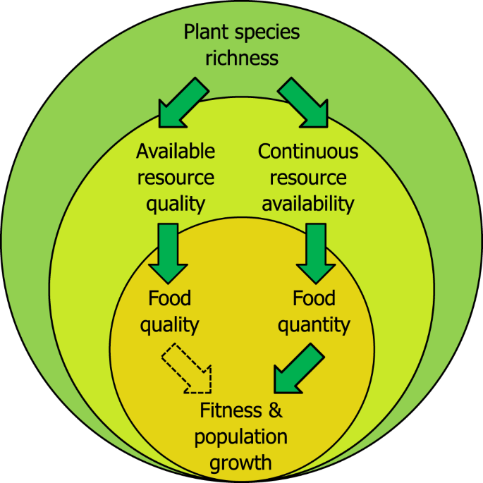 Social bees are fitter in more biodiverse environments | Scientific Reports