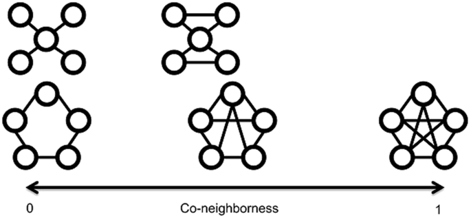 Topological motifs populate complex networks through grouped attachment ...
