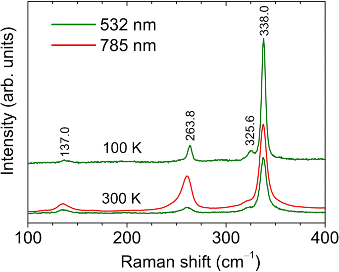 High-pressure Raman scattering in bulk HfS 2 : comparison of density ...