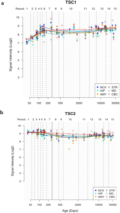 Regionally specific TSC1 and TSC2 gene expression in tuberous sclerosis ...
