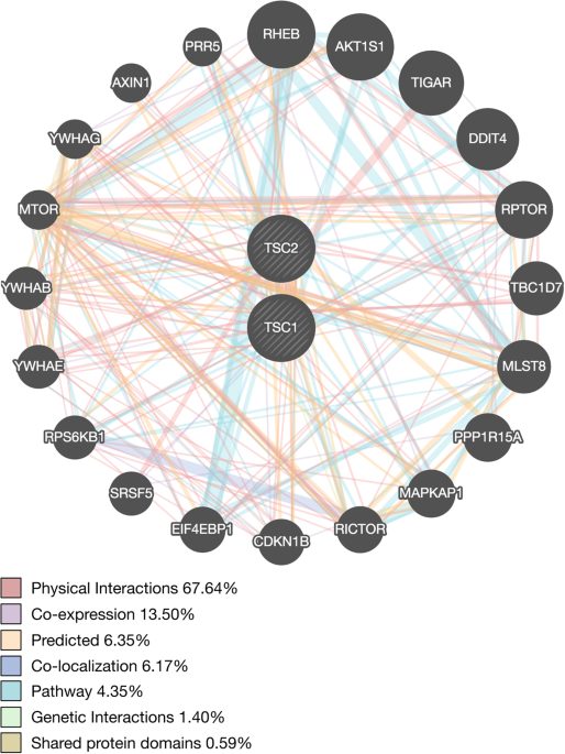 Regionally specific TSC1 and TSC2 gene expression in tuberous sclerosis ...