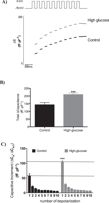 Short-term high glucose culture potentiates pancreatic beta cell ...