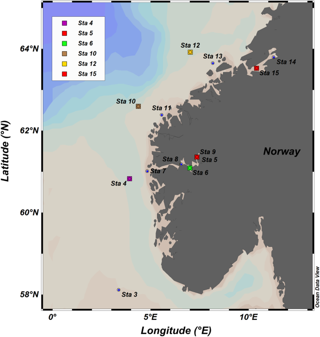 High-resolution observations on enrichment processes in the sea-surface ...