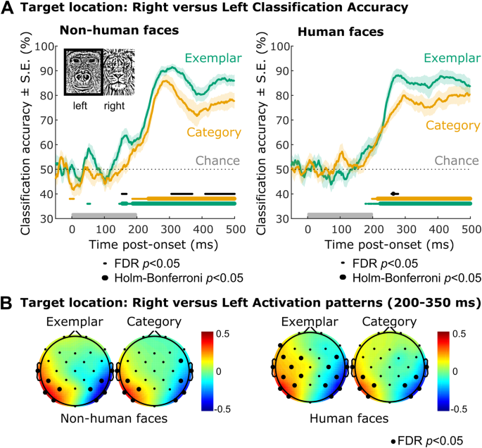 Dynamics of neural representations when searching for exemplars and ...