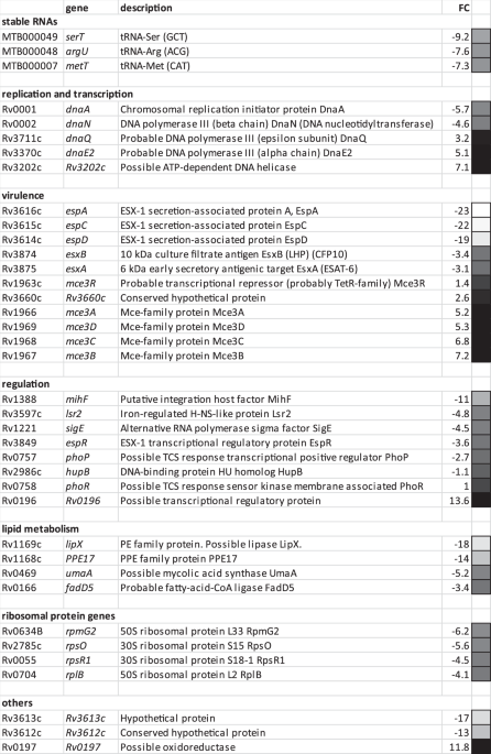 Essential Nucleoid Associated Protein mIHF (Rv1388) Controls Virulence ...