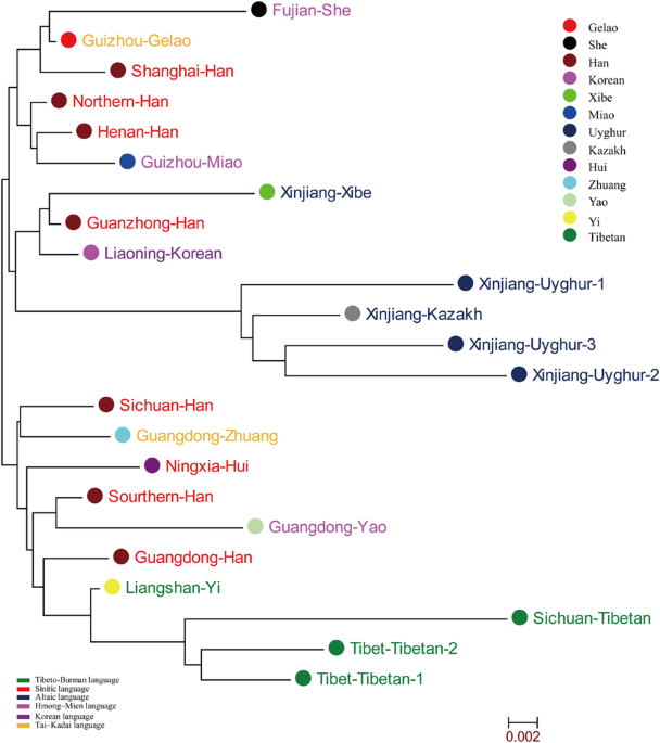 Genetic structure and polymorphisms of Gelao ethnicity residing in ...