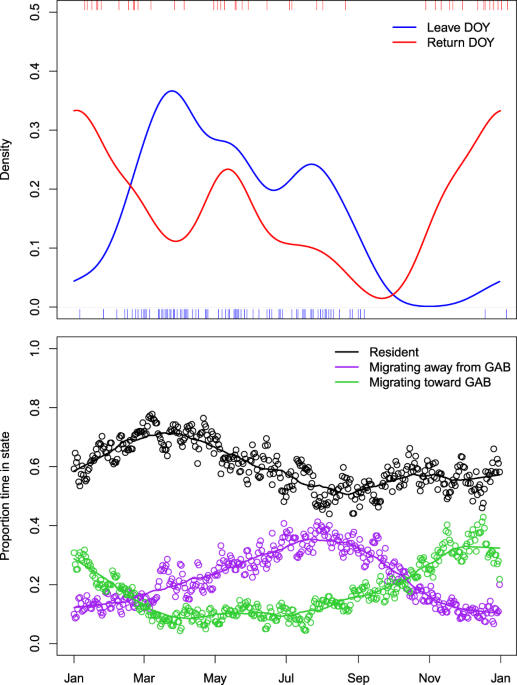 Migration dynamics of juvenile southern bluefin tuna | Scientific Reports