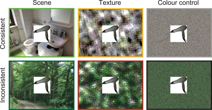 The role of scene summary statistics in object recognition | Scientific ...