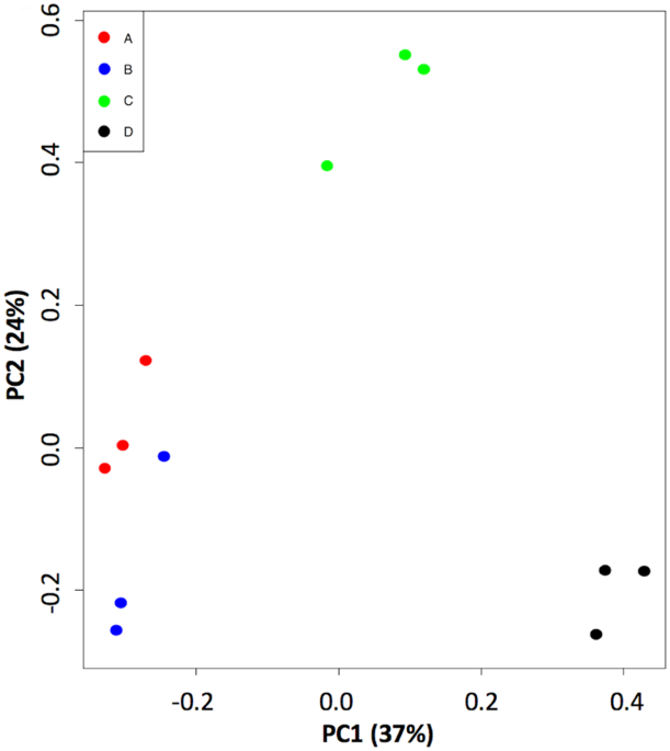 Transcriptomic responses of Serratia liquefaciens cells grown under ...