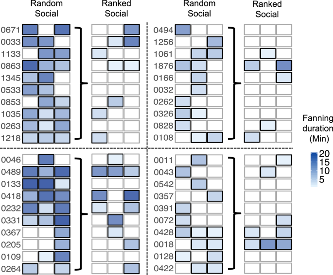 Behavioral flexibility promotes collective consistency in a social ...