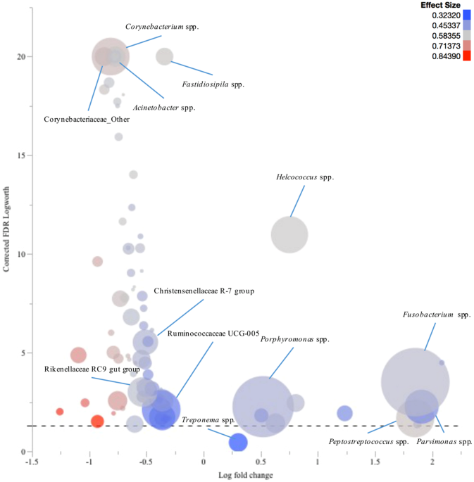 16S rRNA amplicon sequencing reveals a polymicrobial nature of ...