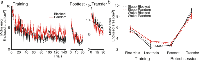 Variable training but not sleep improves consolidation of motor ...