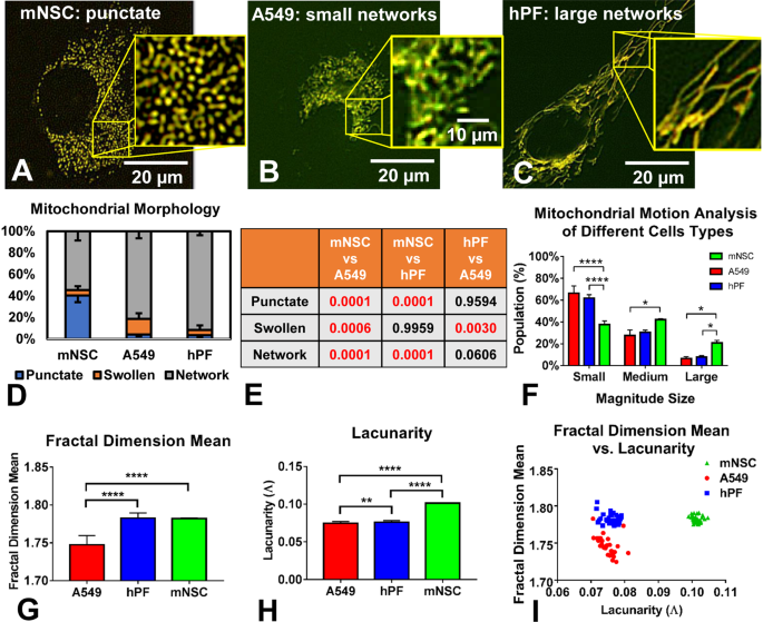 Deep Analysis of Mitochondria and Cell Health Using Machine Learning | Scientific Reports