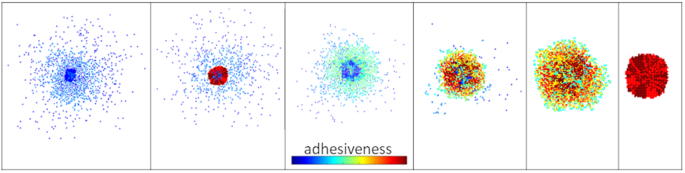 Integrating in vitro experiments with in silico approaches for ...