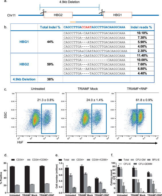 TRIAMF: A New Method for Delivery of Cas9 Ribonucleoprotein Complex to ...
