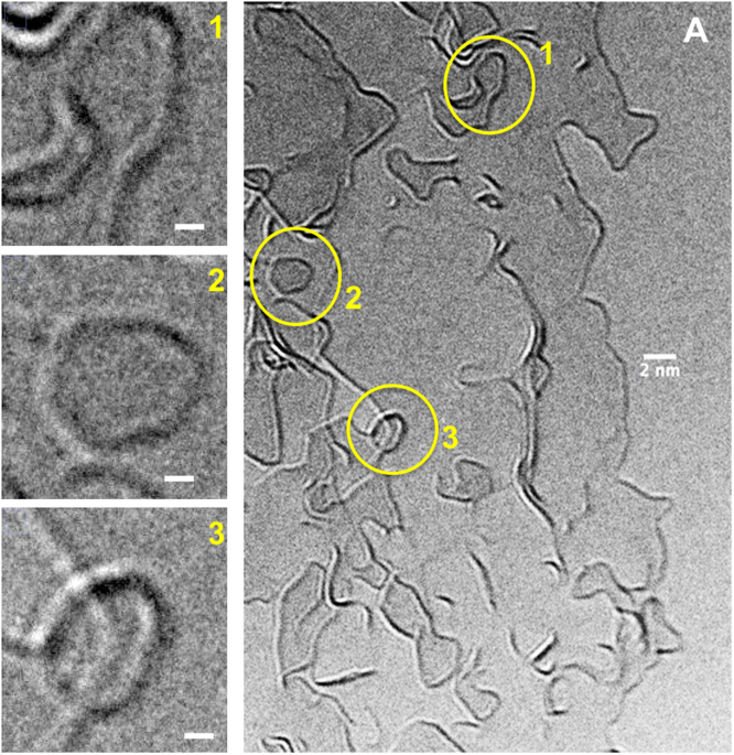 Evolution of Glassy Carbon Microstructure: In Situ Transmission ...