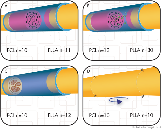 Electrospun nerve guide conduits have the potential to bridge ...
