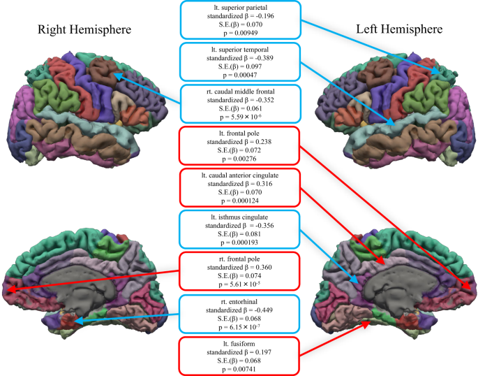 Brain structural connectivity and neuroticism in healthy adults ...