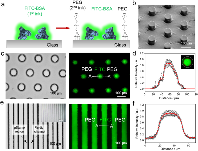 Multifunctional self-assembled monolayers via microcontact printing and ...