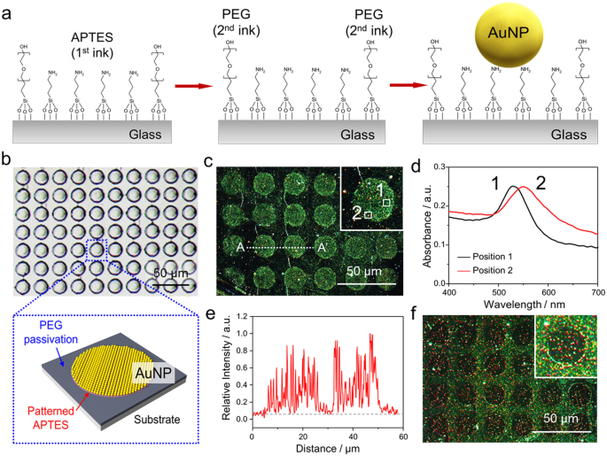 Multifunctional self-assembled monolayers via microcontact printing and degas-driven flow guided ...