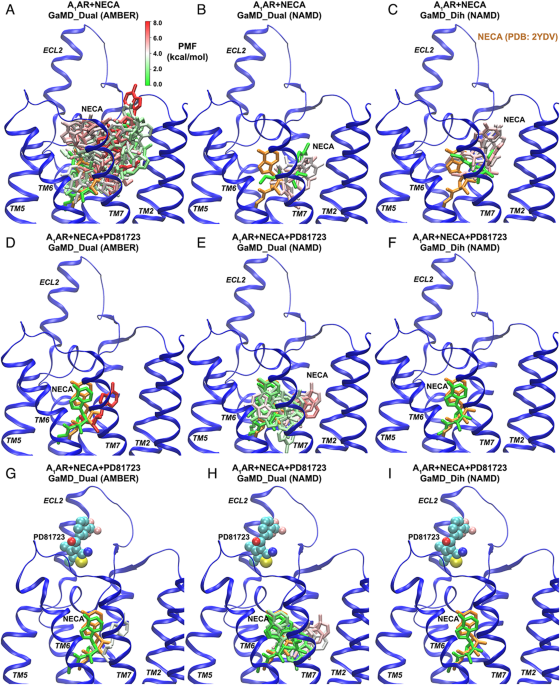 Structural Basis for Binding of Allosteric Drug Leads in the Adenosine ...