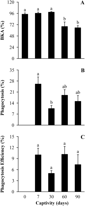 Interplay among steroids, body condition and immunity in response to ...