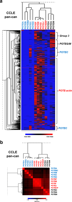 Expression of the POTE gene family in human ovarian cancer | Scientific ...