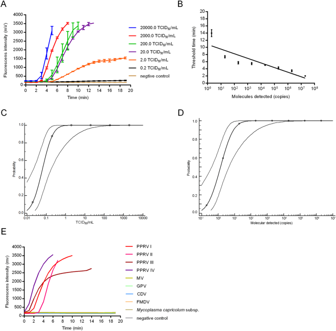 Development of real-time reverse transcription recombinase polymerase ...