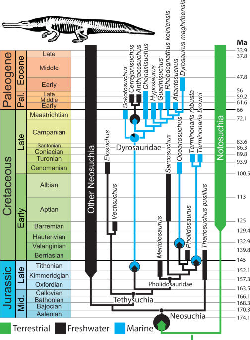 Evolutionary structure and timing of major habitat shifts in ...