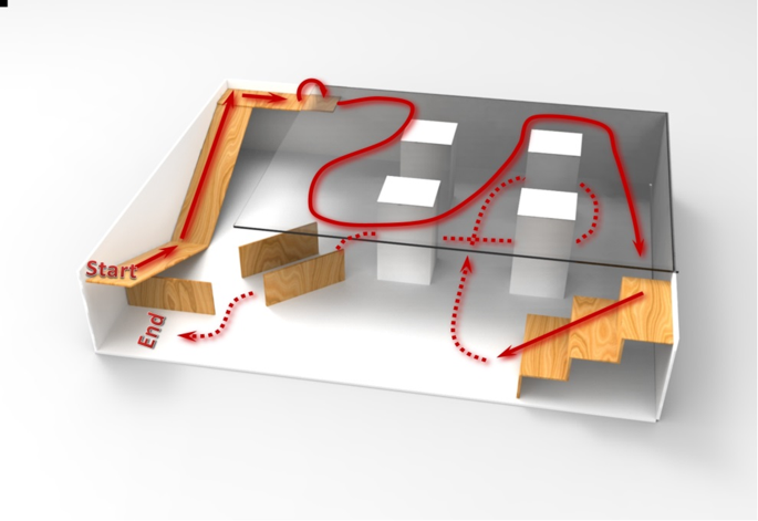 Human Mind Control of Rat Cyborg’s Continuous Locomotion with Wireless ...