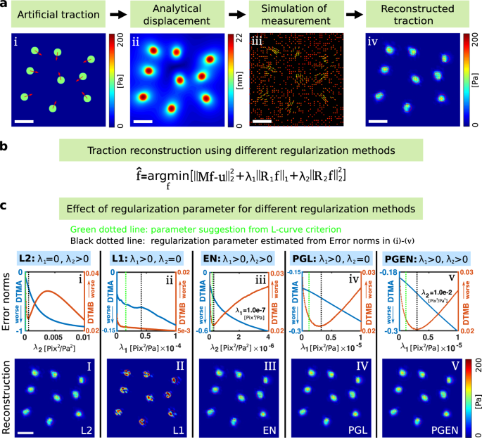 Traction Force Microscopy With Optimized Regularization And Automated Bayesian Parameter