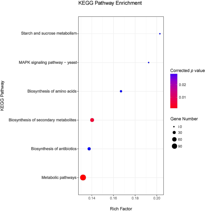 Comparative Transcriptome Analysis Reveals Relationship Of Three Major