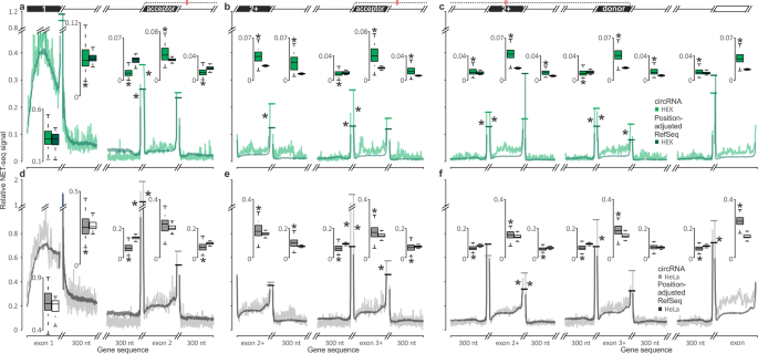 Insights into the biogenesis and potential functions of exonic circular ...